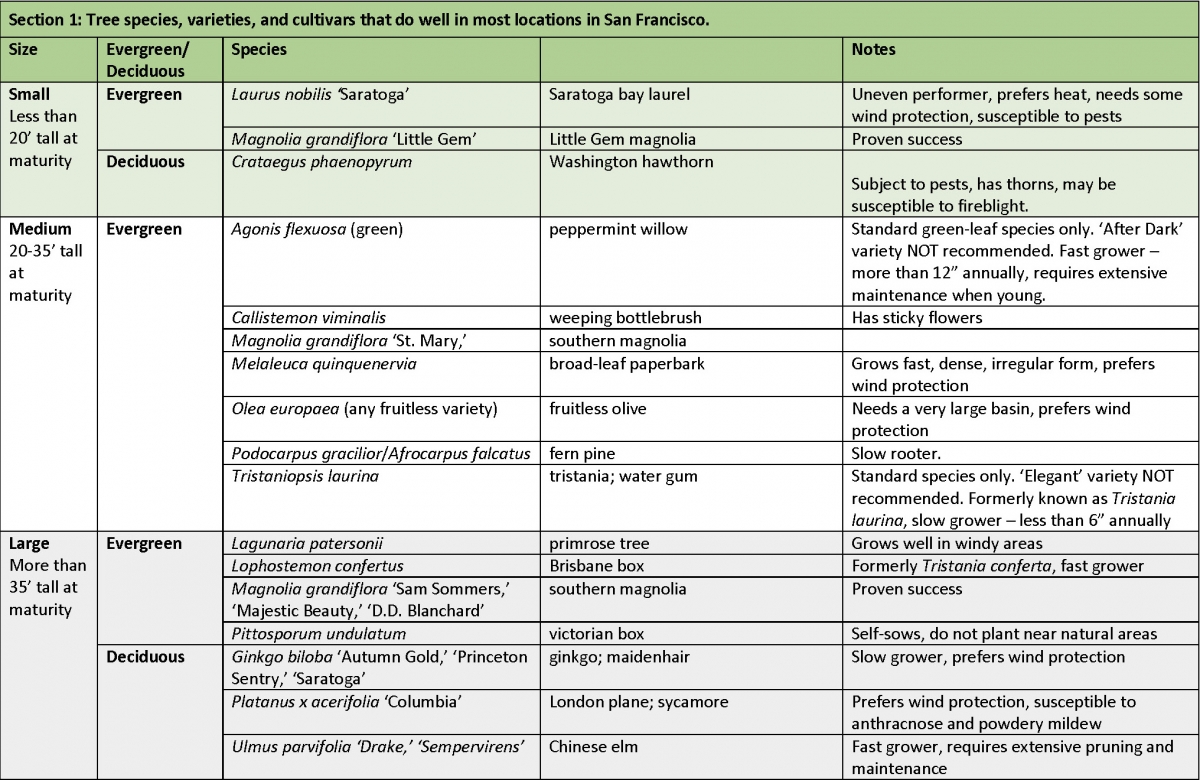 Recommended Street Tree and Plant Lists | Public Works